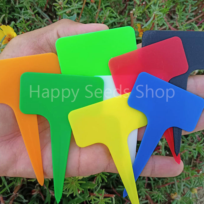 T Shape Plant Labels | Mix color 10 Pieces – Happy Seeds Shop